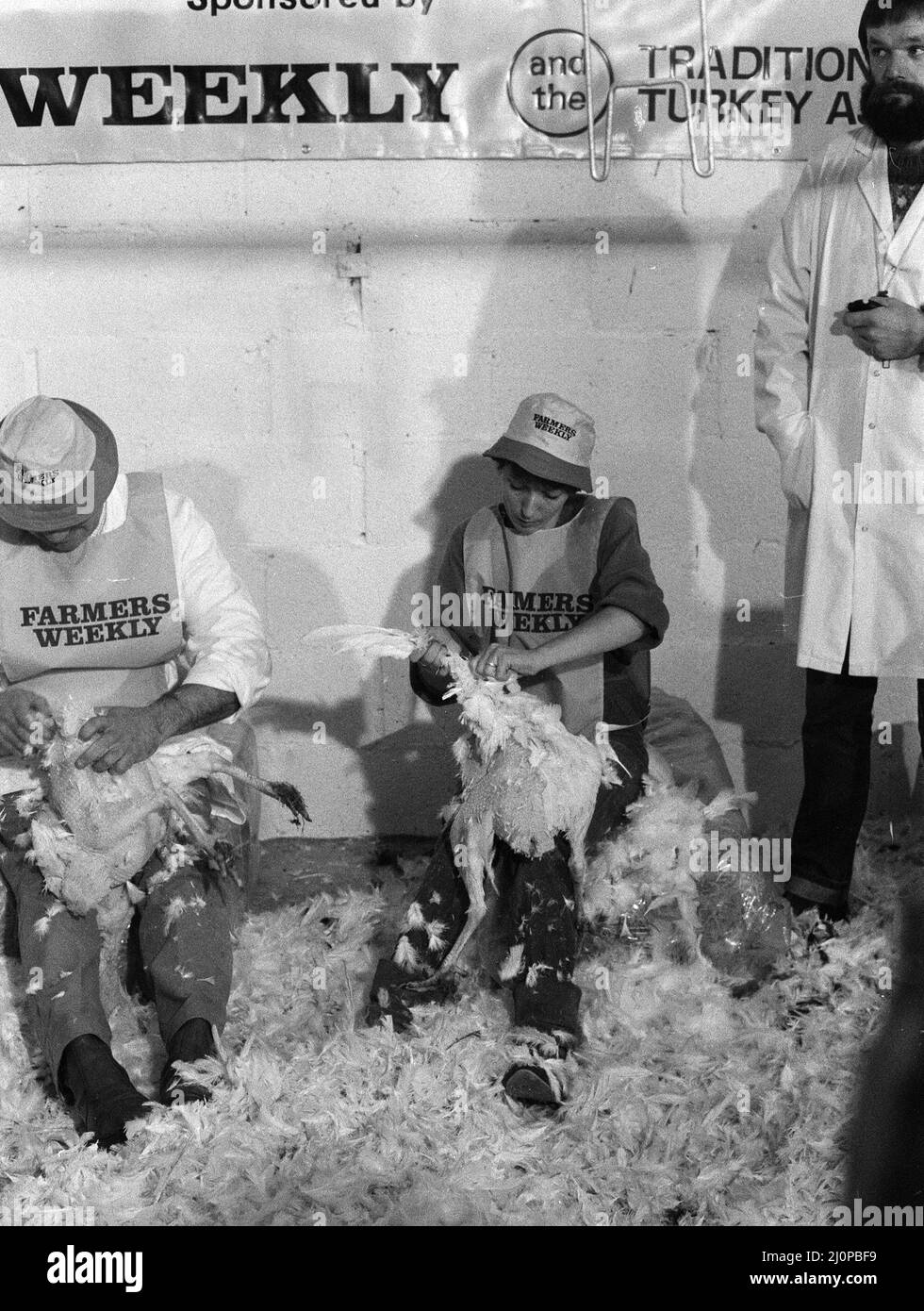 Turkey plucking championship at Henley. December 1984 Stock Photo - Alamy