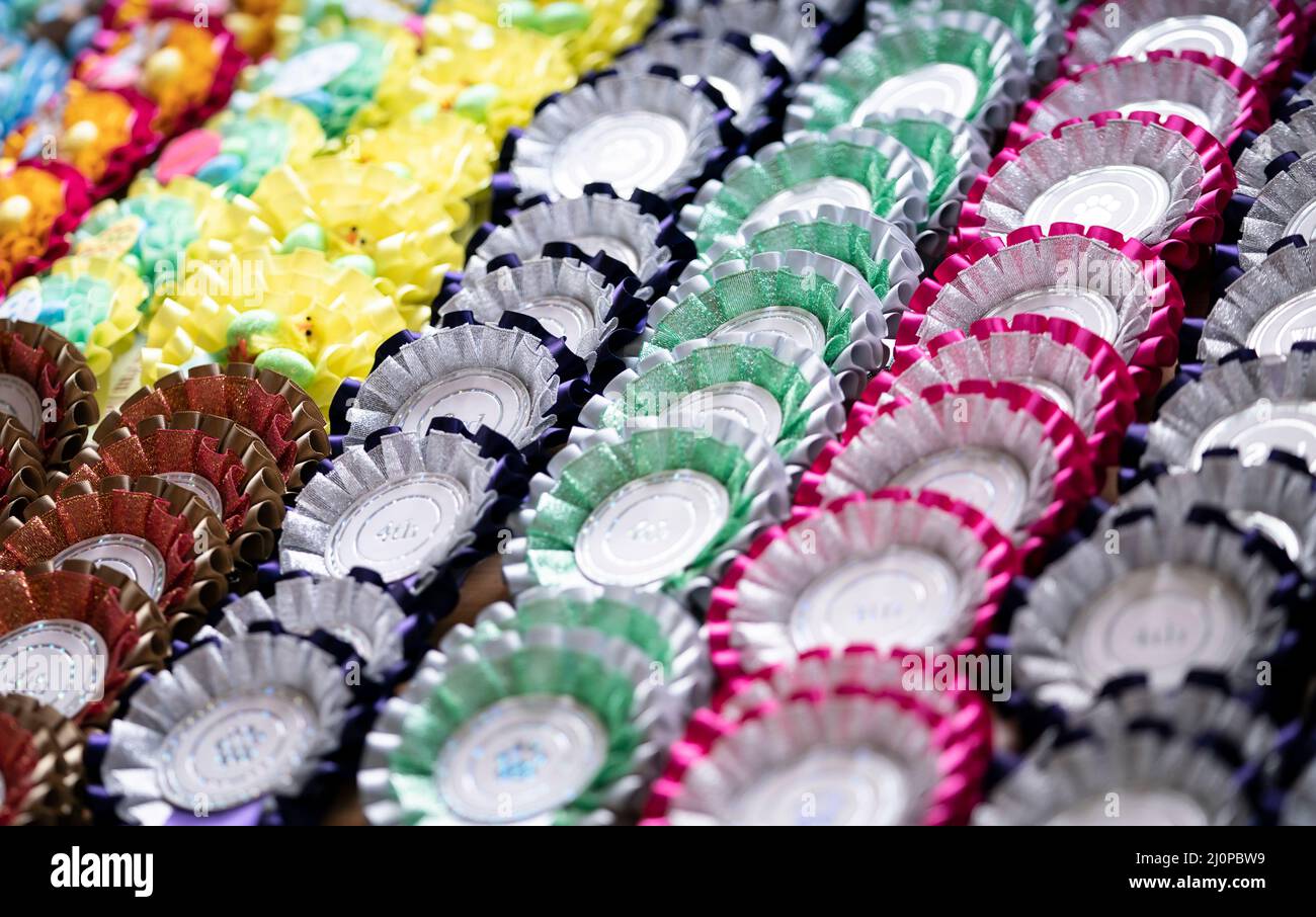 Rosettes during the Hollywood (A day at the Oscar's) themed Furbabies ...