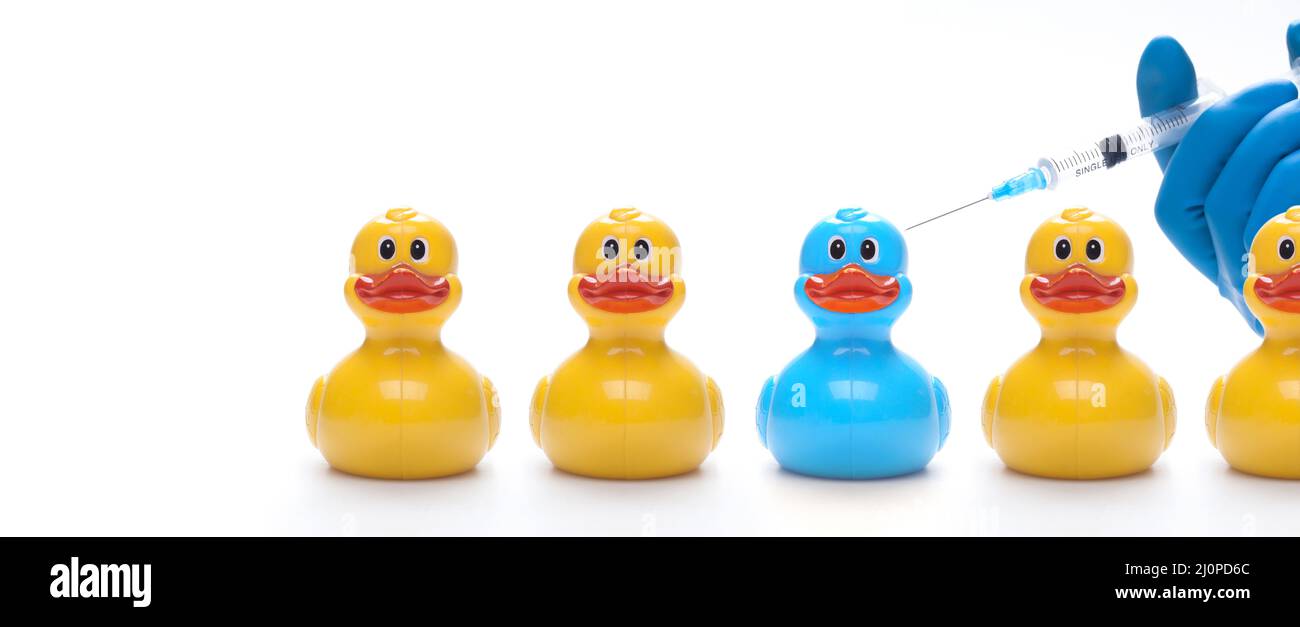 Medical syringe with a needle for vaccination on a duck toy Stock Photo ...