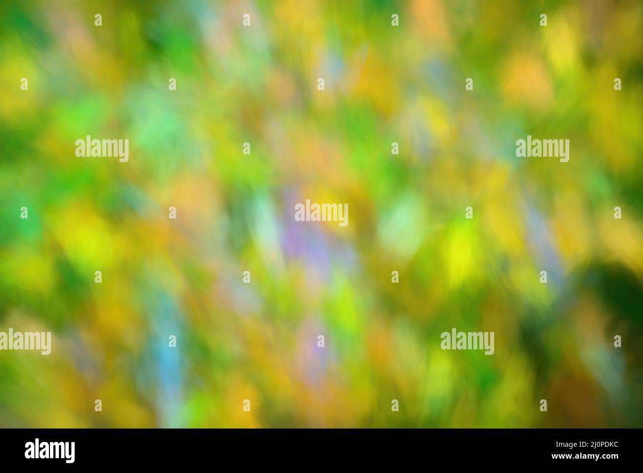 Blurred vision blurry vision hi-res stock photography and images - Alamy