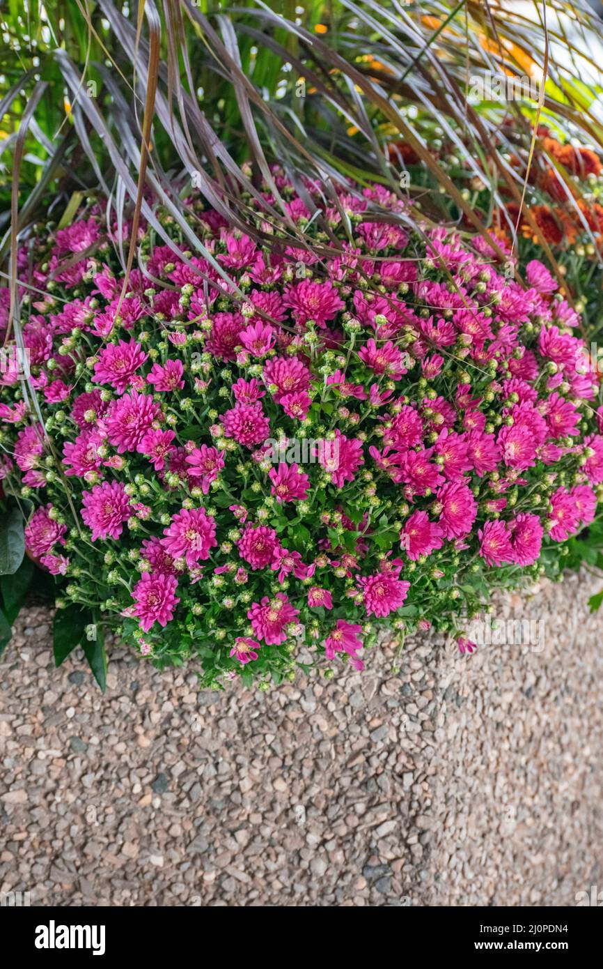 Canada stock photography hi-res stock photography and images - Alamy