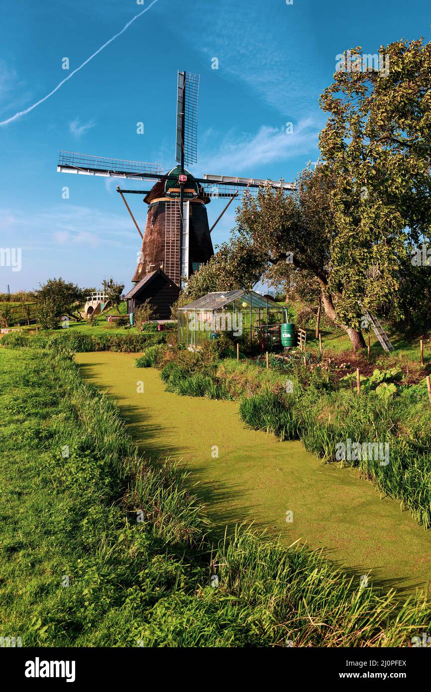 Historic windmill in the Netherlands Stock Photo - Alamy