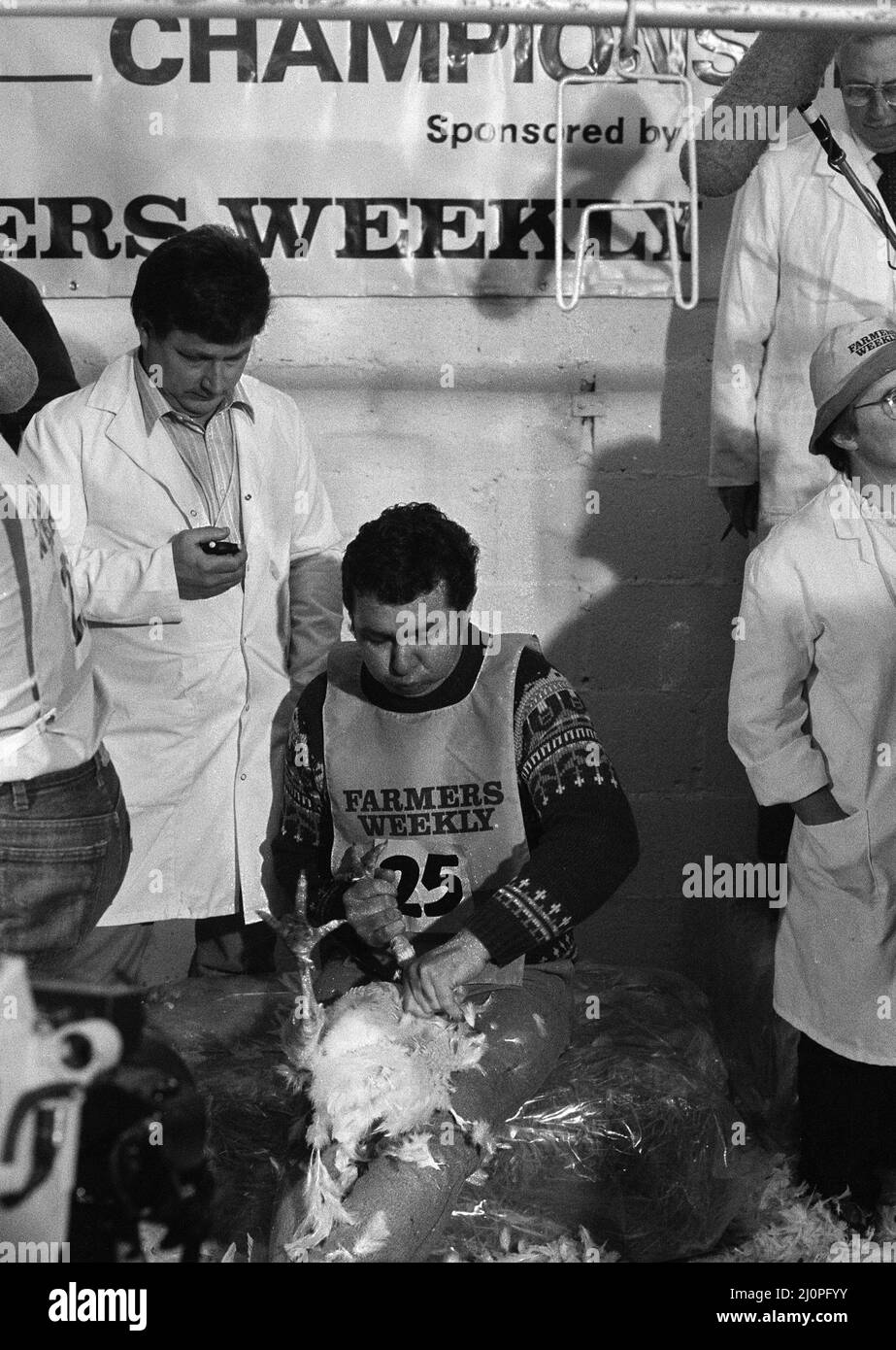 Turkey plucking championship at Henley. December 1984 Stock Photo - Alamy