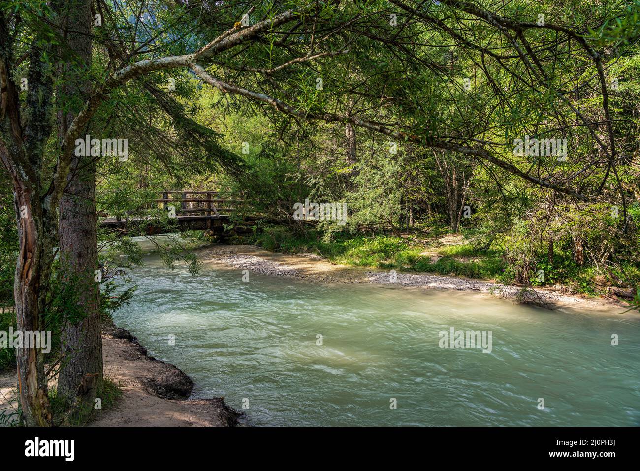 Old wooden bridge in the forest Stock Photo - Alamy