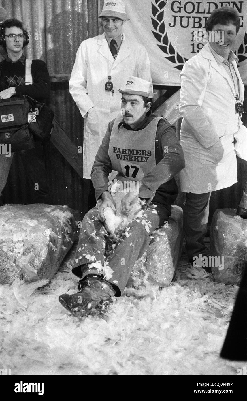 Turkey plucking hi-res stock photography and images - Alamy