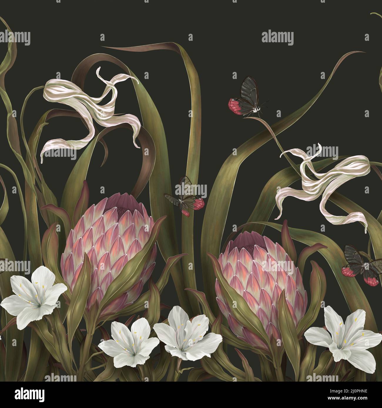 Dark exotic pattern. Wallpaper with pink protea and white flowers ...