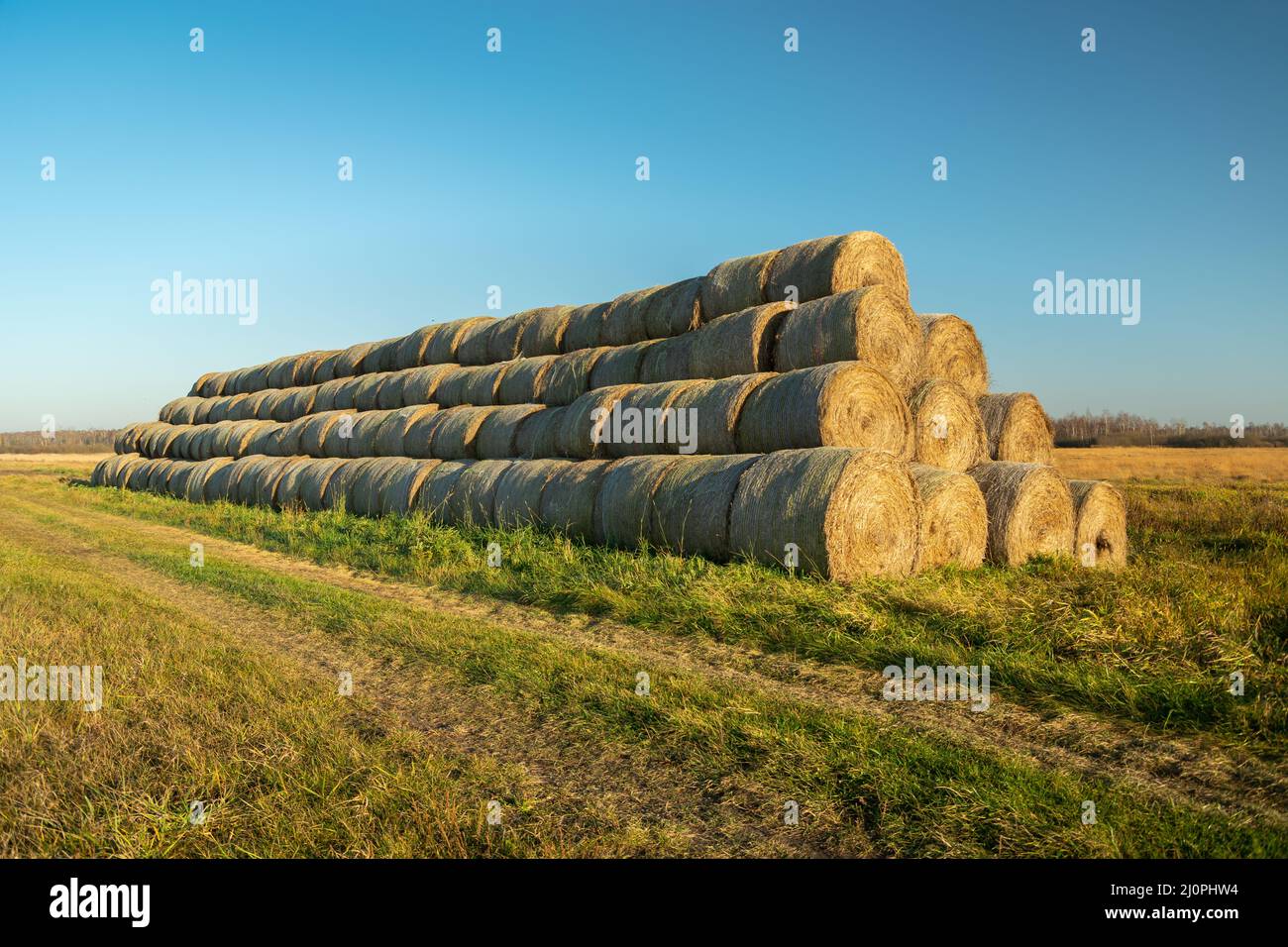 Pile of hay hi-res stock photography and images - Alamy