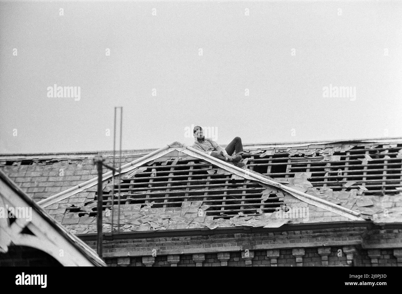 Michael Gordon Peterson Art