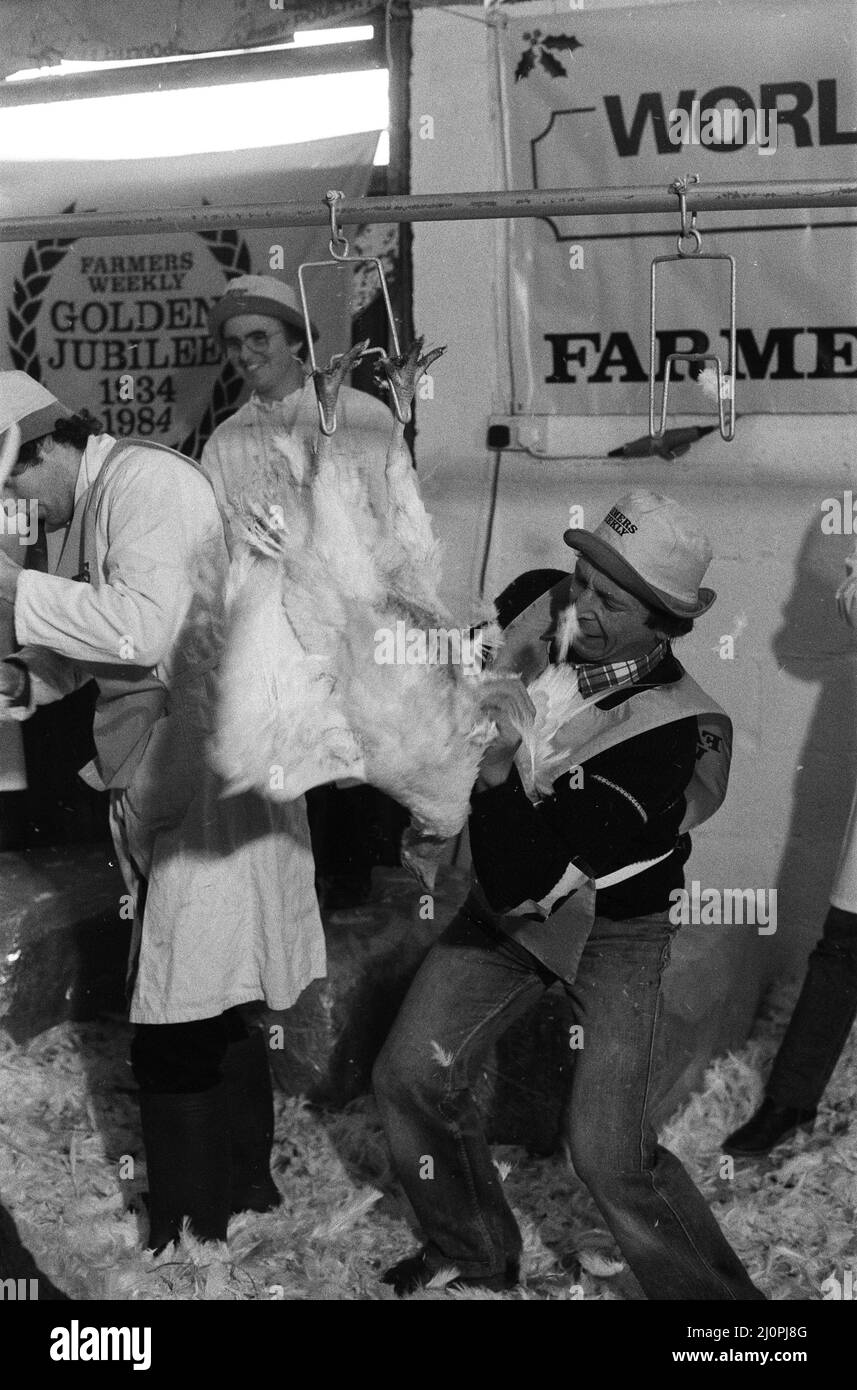 Turkey plucking championship at Henley. December 1984 Stock Photo - Alamy