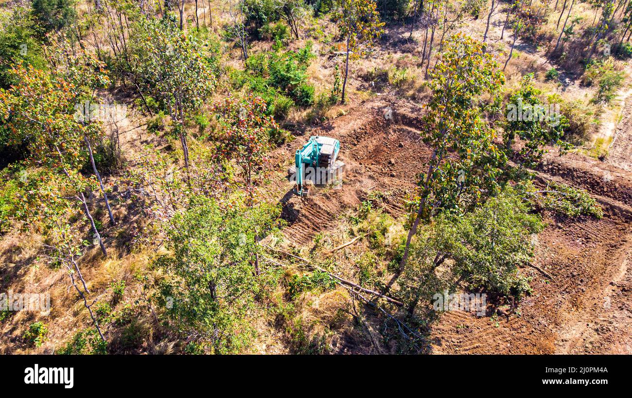 Human deforestation hi-res stock photography and images - Alamy