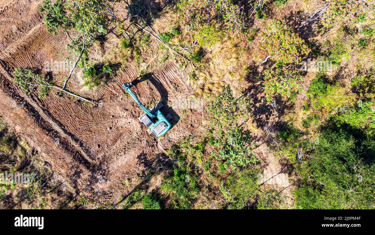 The top view of human deforestation Stock Photo - Alamy