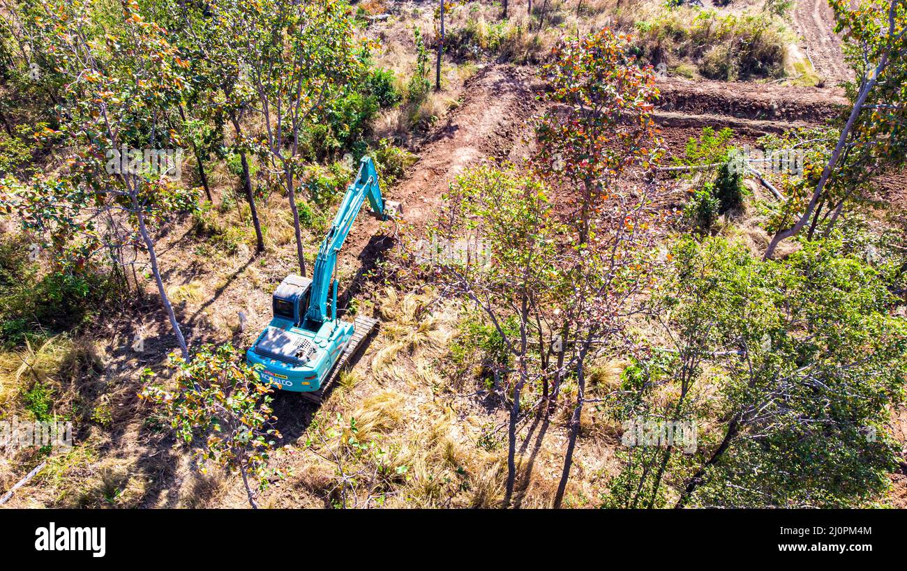Human deforestation hi-res stock photography and images - Alamy