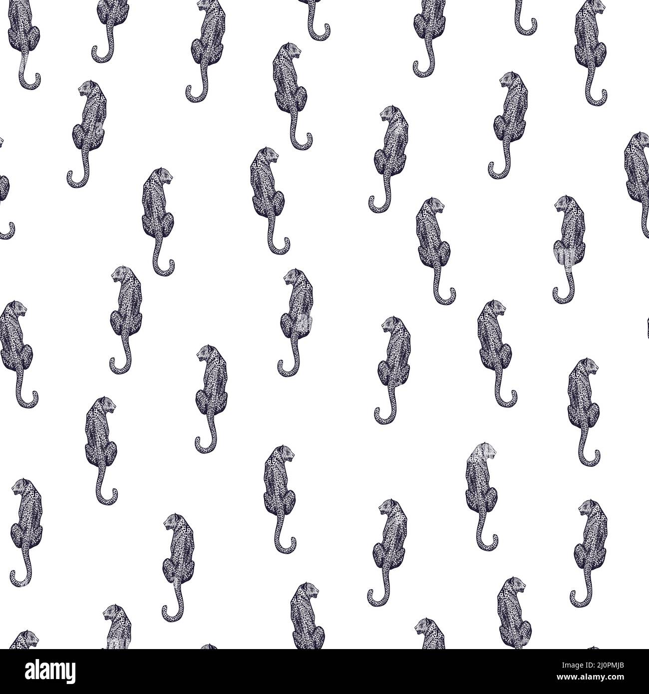 Leopard sit back seamless pattern. Vintage wildlife animals background ...