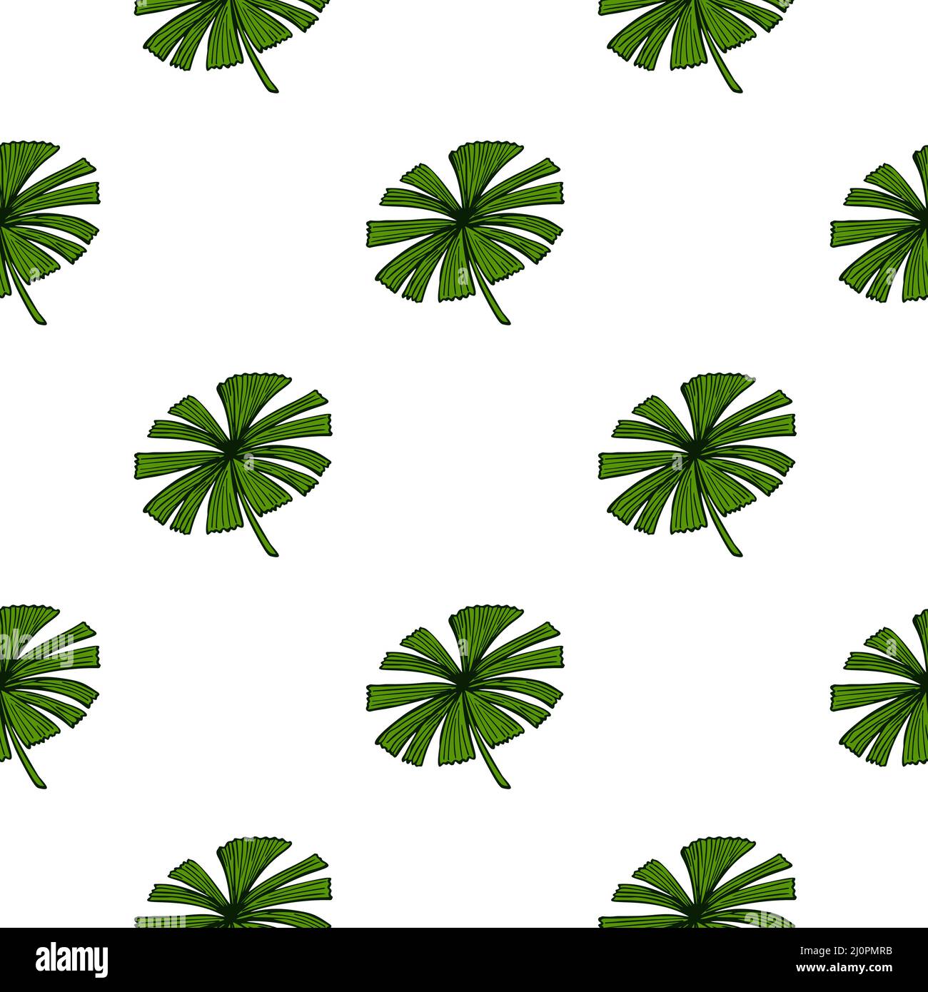 Fan palm leaves seamless pattern on. Vintage foliage of palmetto in ...