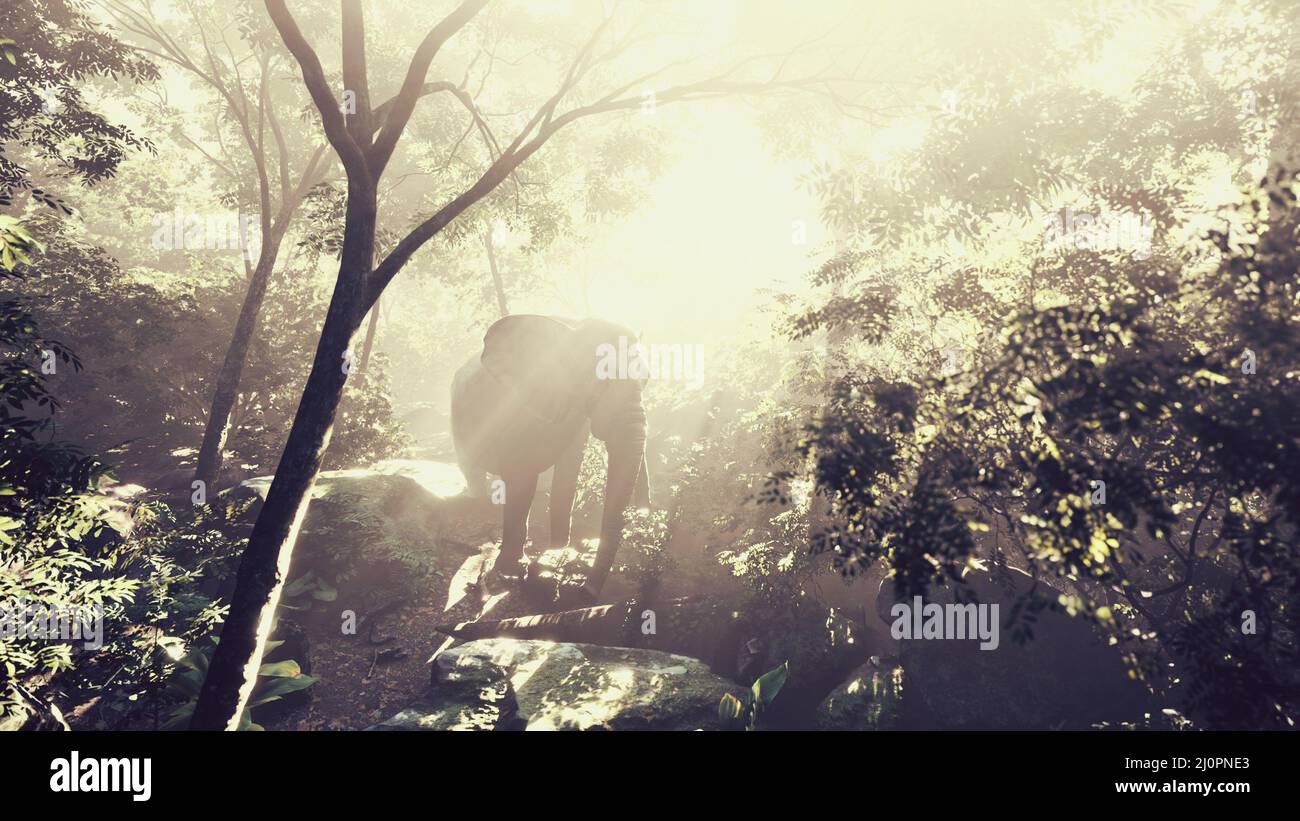 Elephant in tropical forest with fog Stock Photo - Alamy