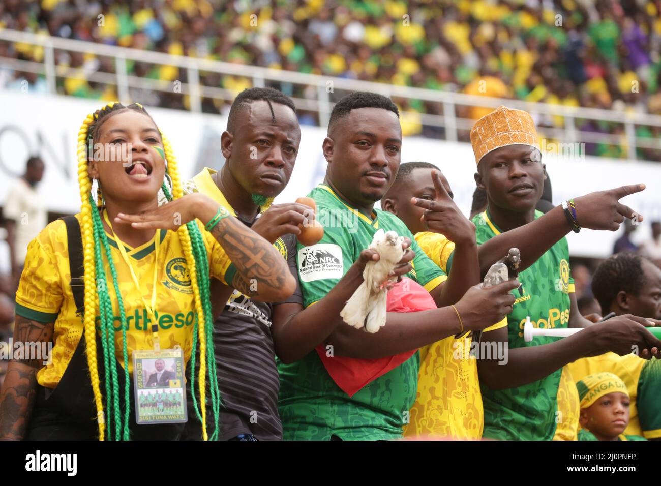 Simba sc hi-res stock photography and images - Alamy