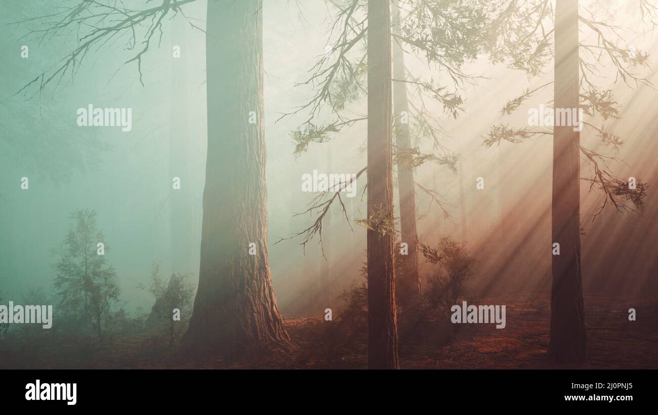Marvelous scenery hi-res stock photography and images - Alamy