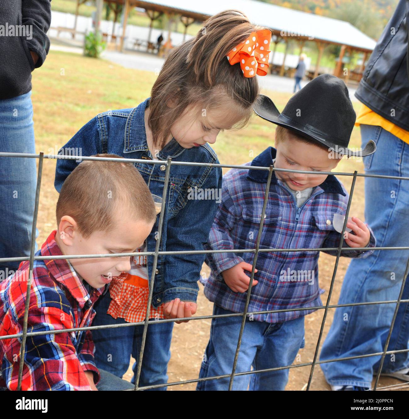 Three children feed the animals at a "harvest festival" in Tennessee ...