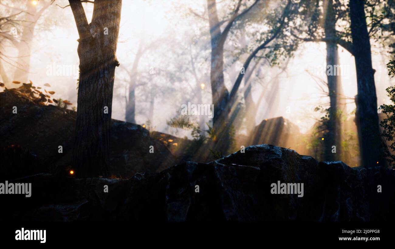 Foreat at hight with bright moon light Stock Photo - Alamy