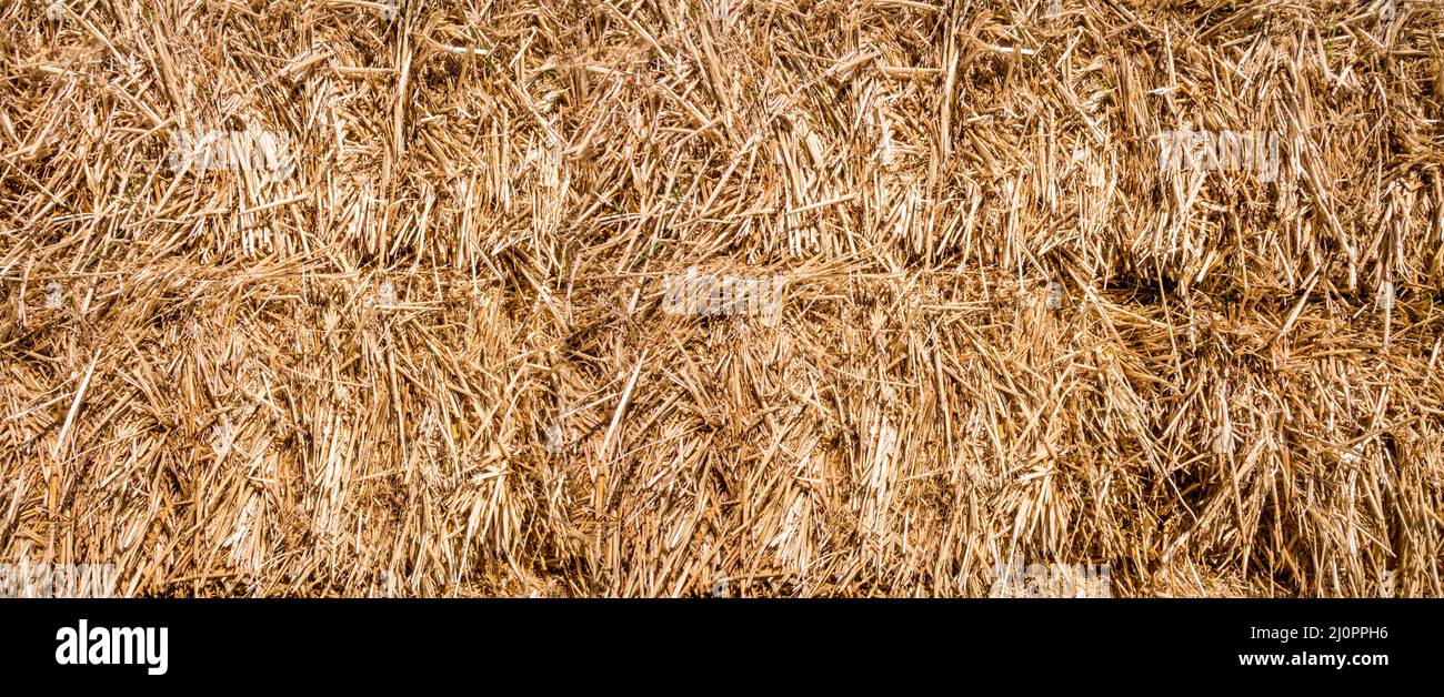 Bale of straw texture. Background banner Stock Photo - Alamy