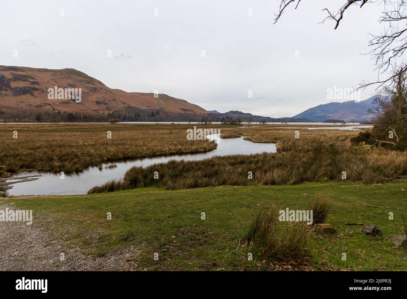 Surroundings after the Chinese bridge, river Derwent, Keswick, Cumbria ...