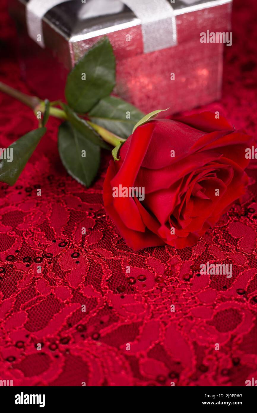 Red background with a lace pattern and rose Stock Photo - Alamy