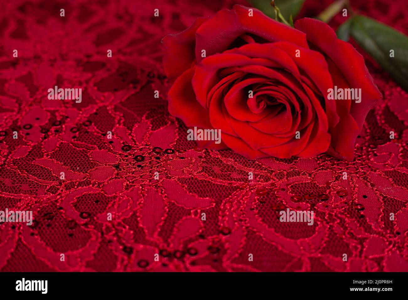 Red background with a lace pattern and rose Stock Photo - Alamy