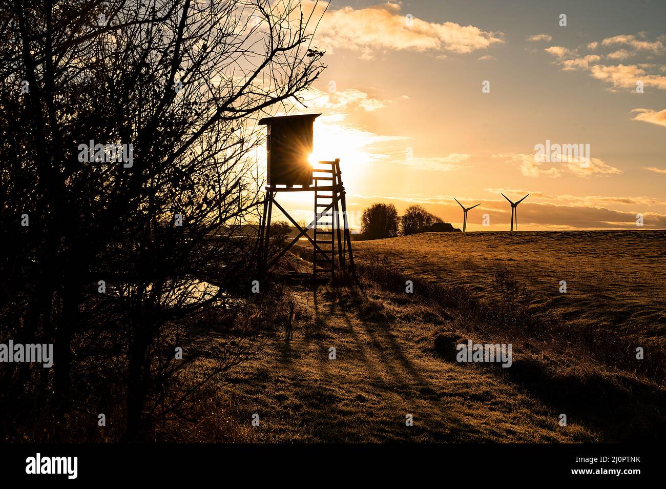 Hunting in sunrise Stock Photo - Alamy