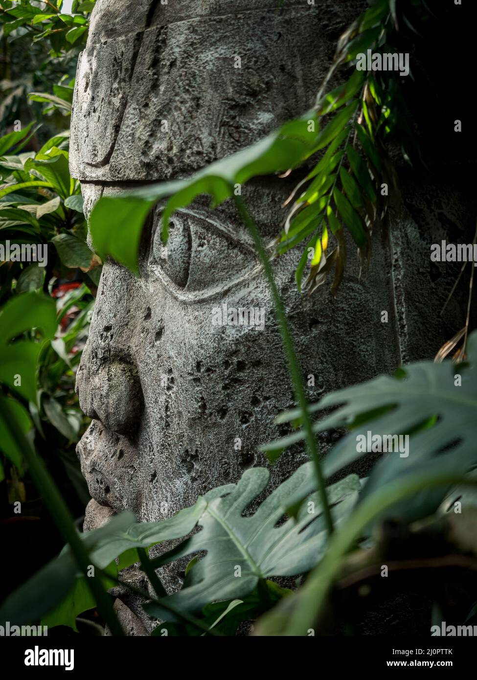 Aztec man face hi-res stock photography and images - Alamy