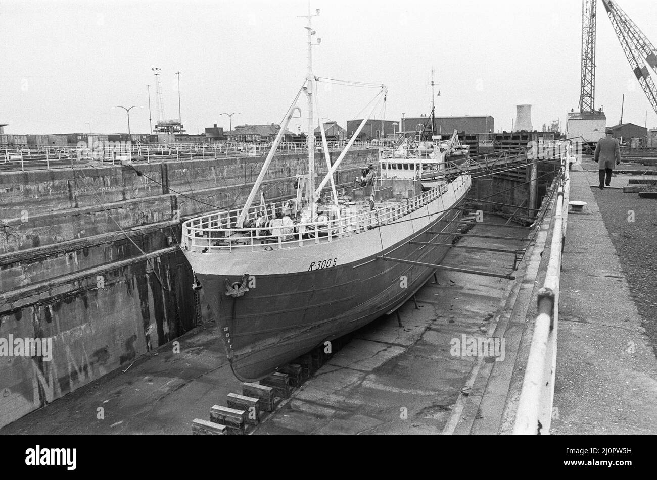 The Norwegian trawler Ringo (R-300 S) seen here in dry dock for repairs ...