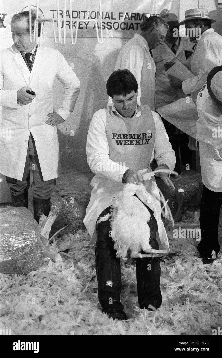 Turkey plucking hi-res stock photography and images - Alamy