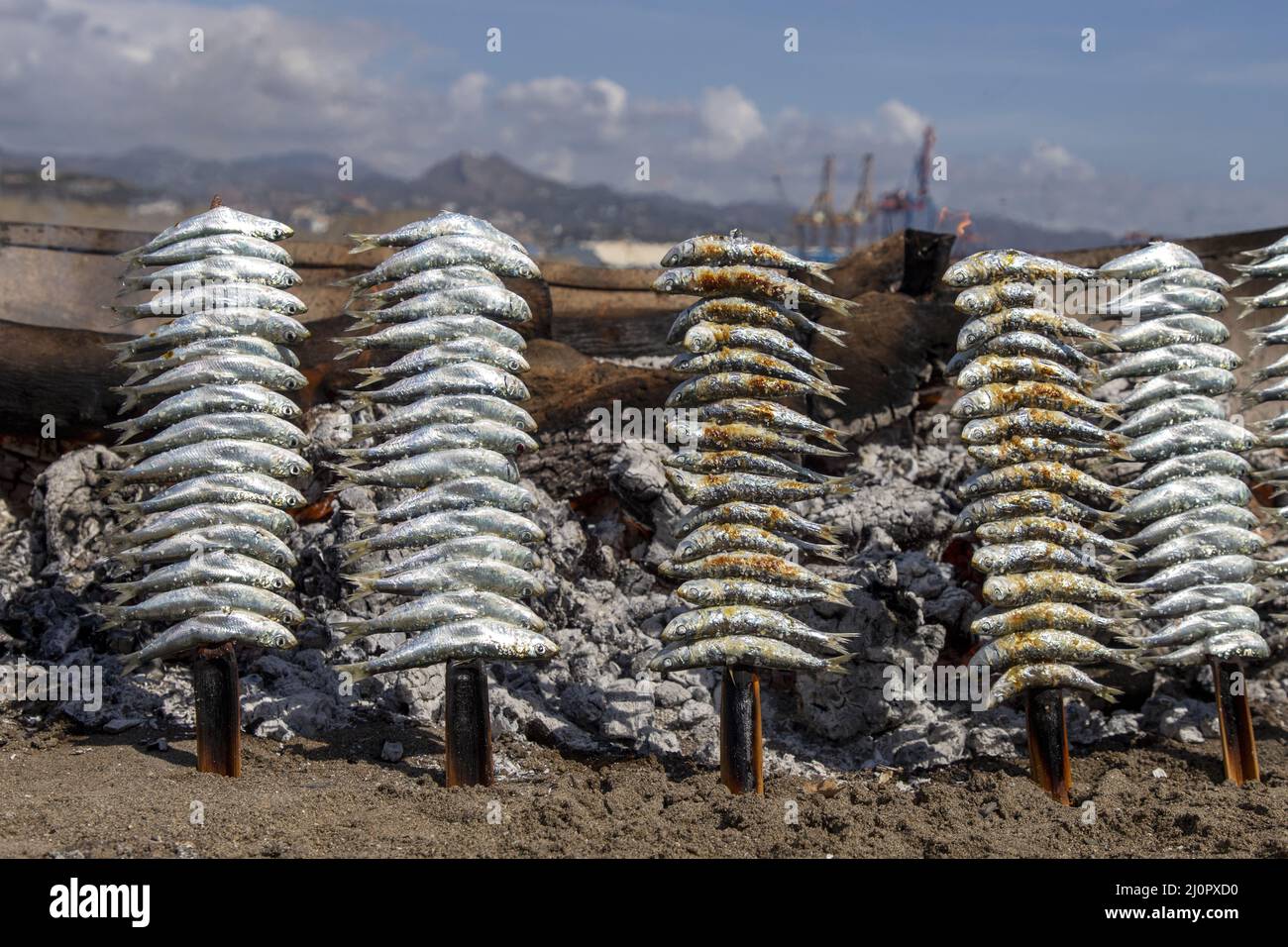 skewers of sardines pricked over grilled earth Stock Photo - Alamy