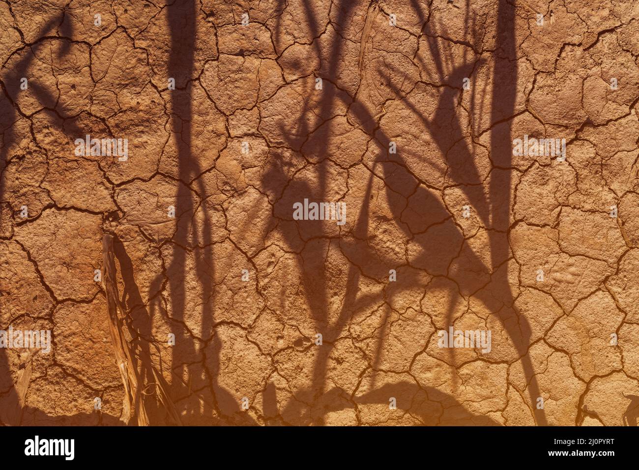 Crops drought hi-res stock photography and images - Alamy