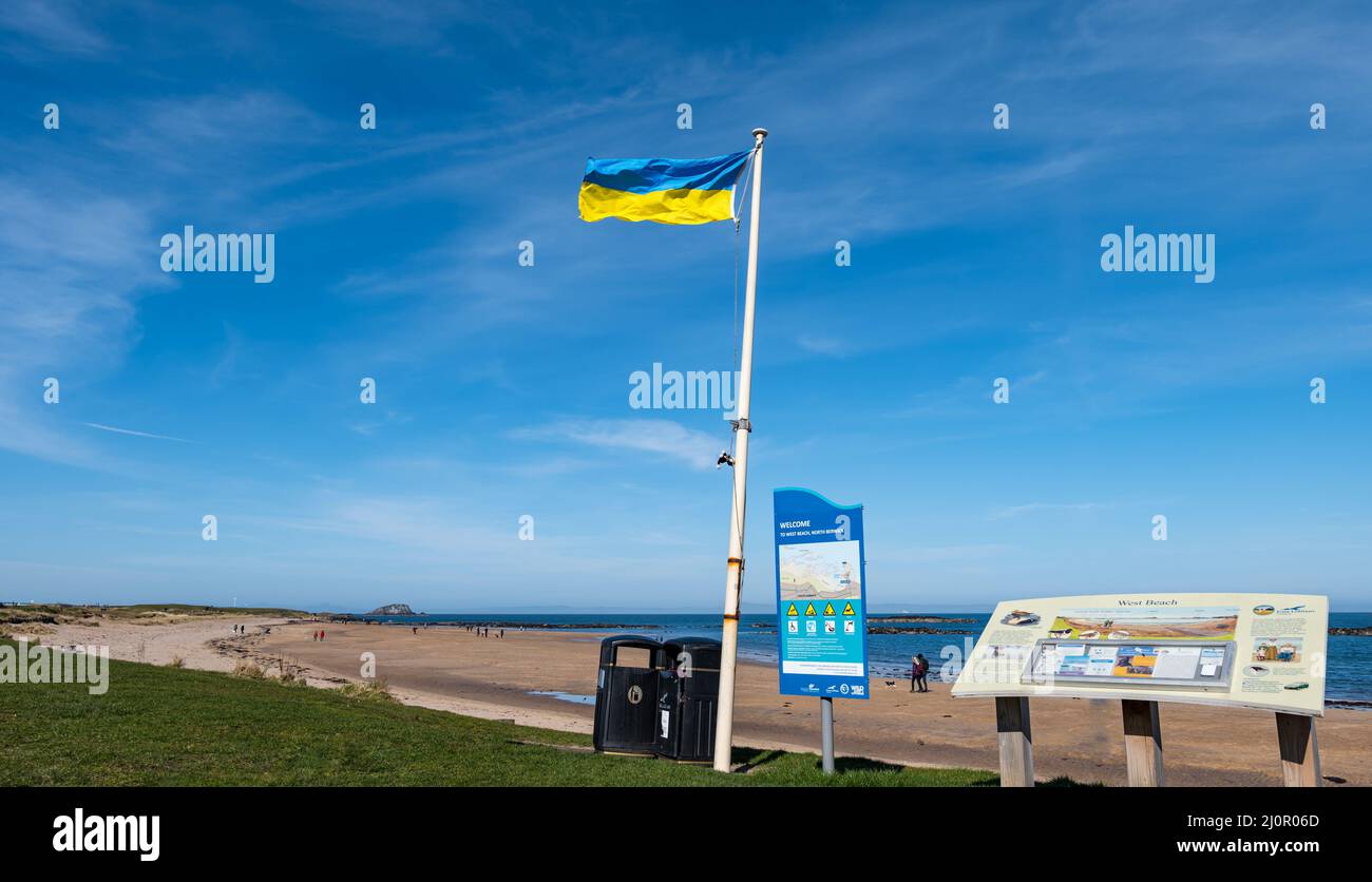 Ukrainian flag flying on flagpole in sunshine, West beach, North ...
