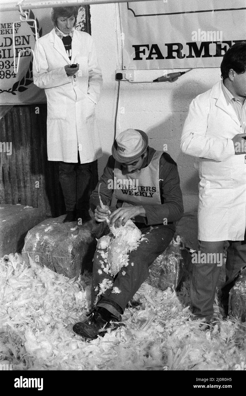 Turkey plucking championship at Henley. December 1984 Stock Photo - Alamy