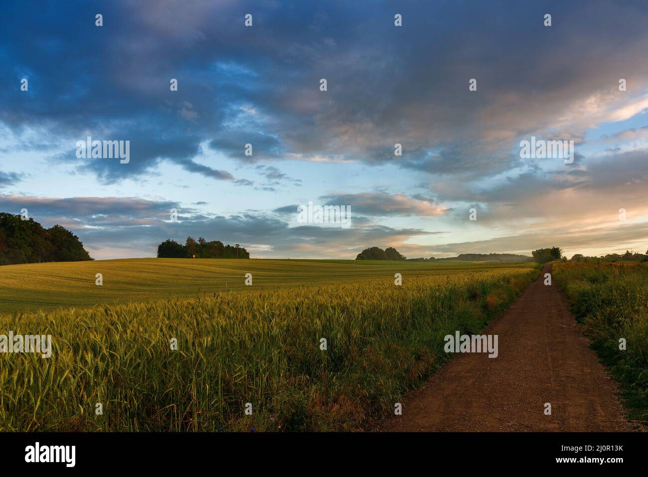 Rain over wheat field hi-res stock photography and images - Alamy