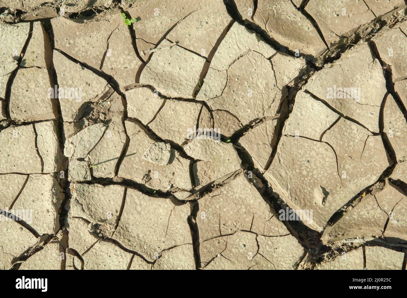 Cracks in dried out mud Stock Photo - Alamy
