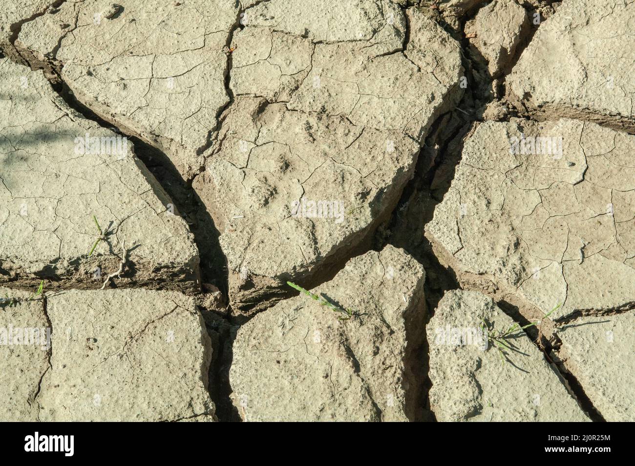 Cracks in dried out mud Stock Photo - Alamy