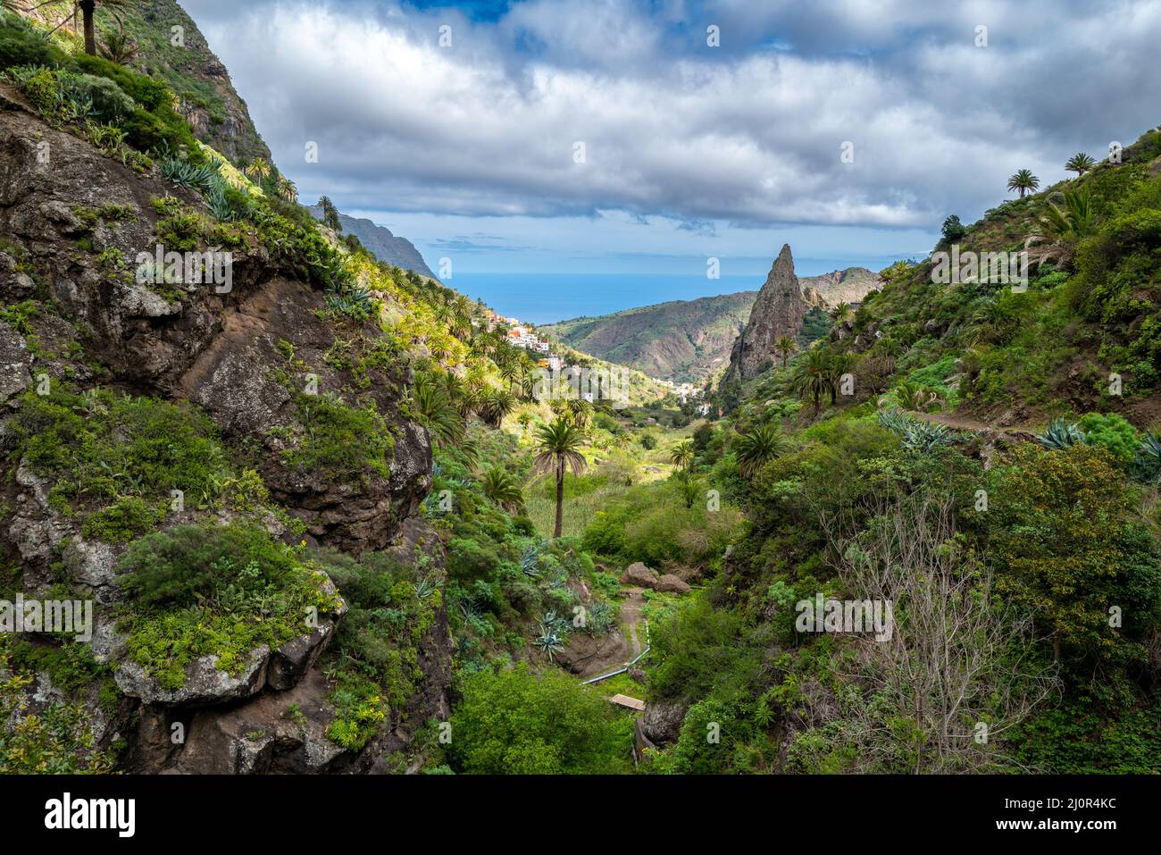 Reserva natural integral de benchijigua hi-res stock photography and ...