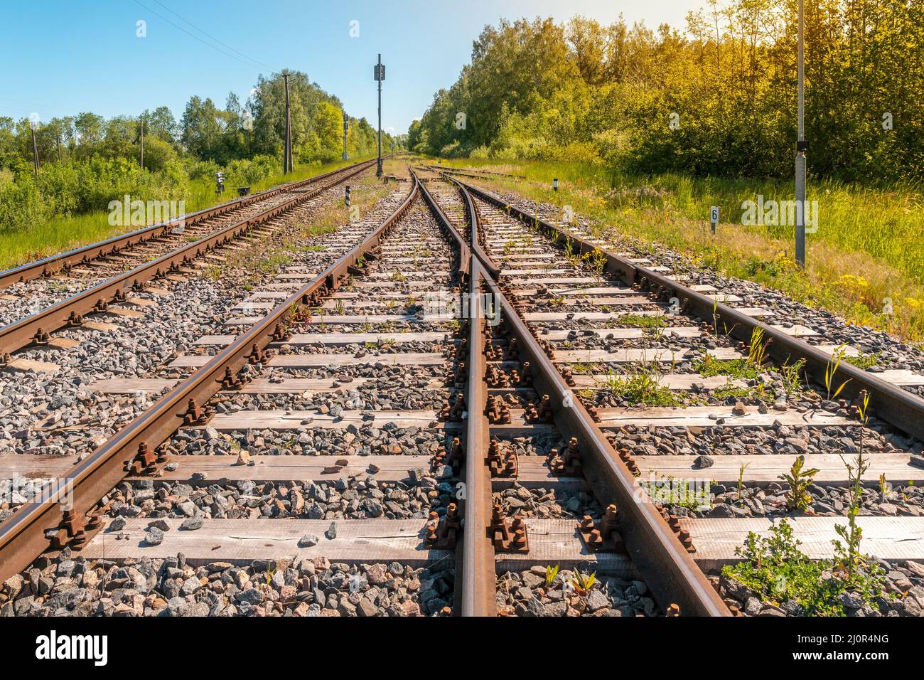 Track in nature hi-res stock photography and images - Alamy