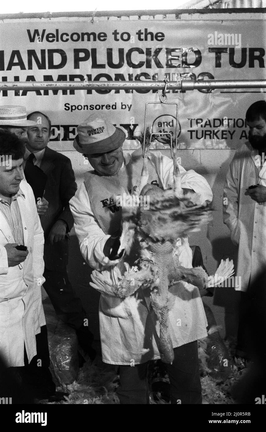 Turkey plucking hi-res stock photography and images - Alamy