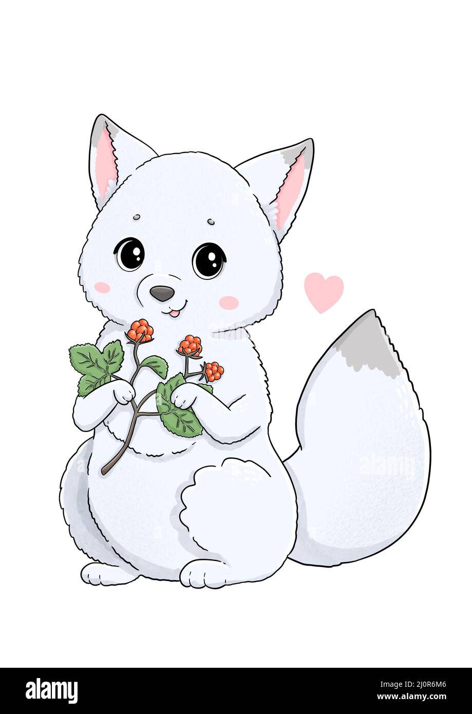 Cute little arctic fox with pretty cloudberry Stock Photo - Alamy