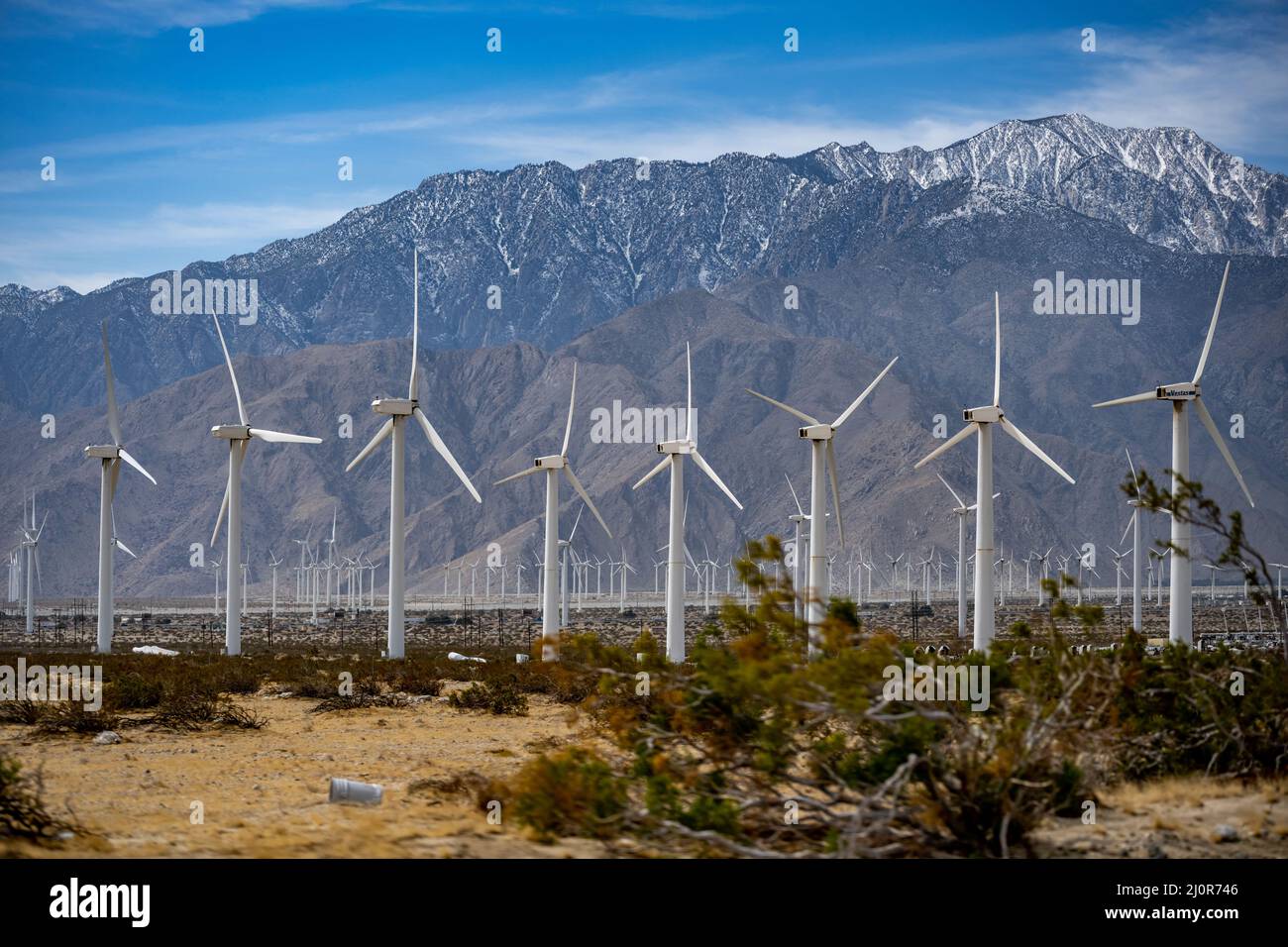 A beautiful overlooking view of nature and windmills in Palm Springs ...