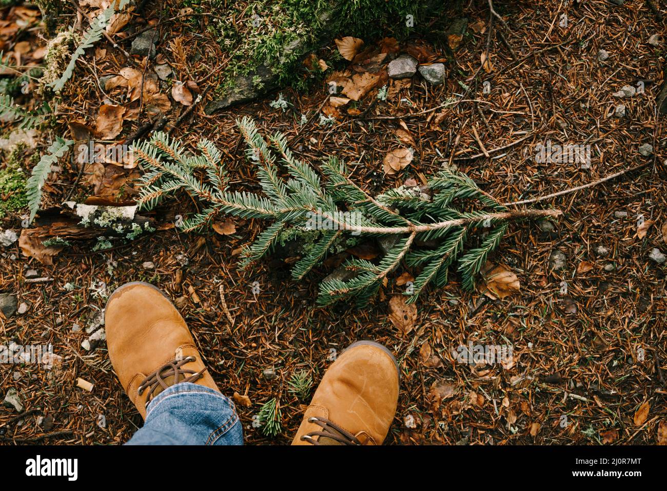 Ground stand hi-res stock photography and images - Alamy