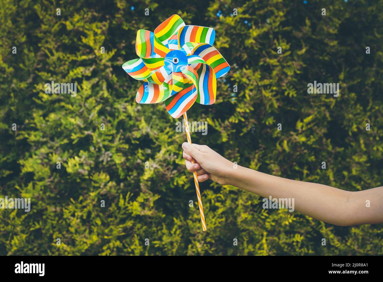Colourful pinwheel on a hand with nature background Stock Photo - Alamy