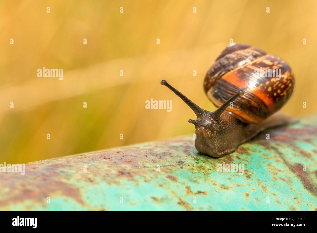 Metal slug hi-res stock photography and images - Alamy
