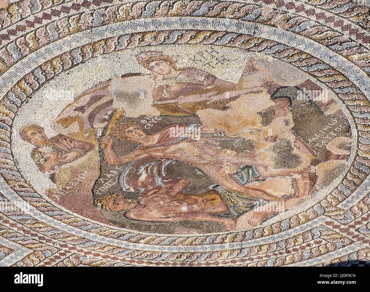 The House of Aion, Paphos, Cyprus: Mosaic floor depicted in a medallion ...