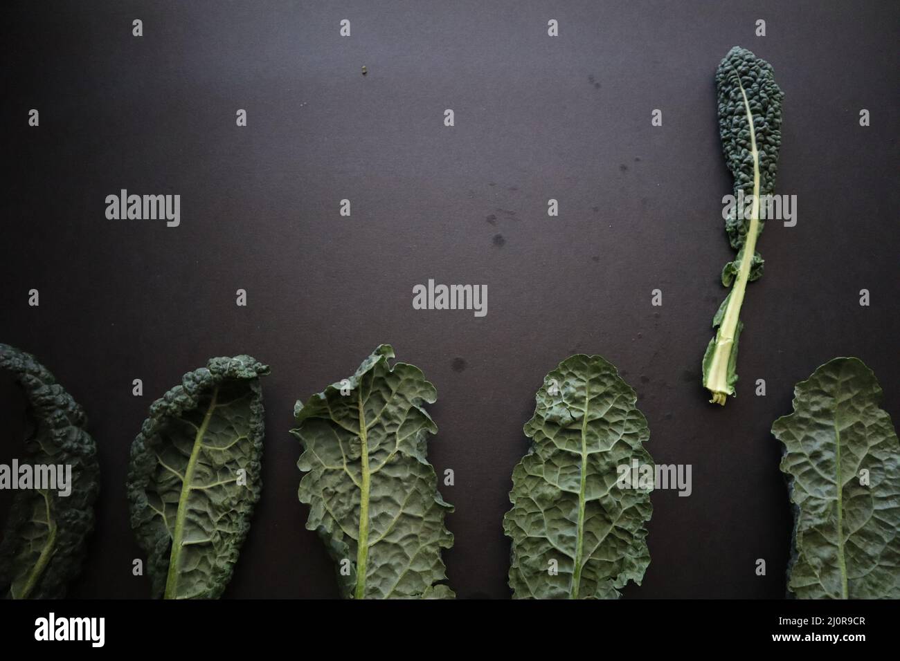 Dark Kale on black background Stock Photo - Alamy