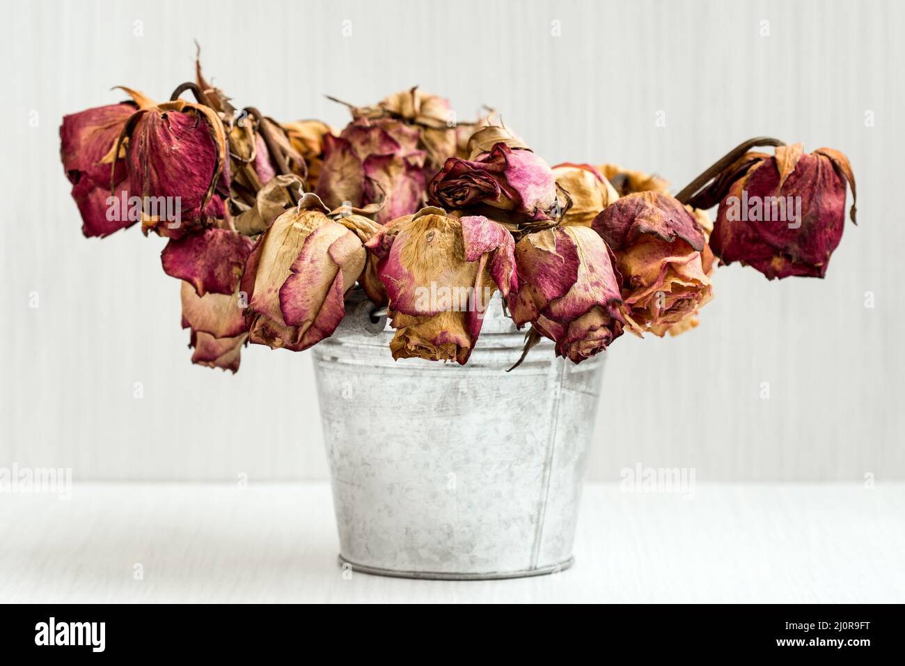 Dead bouquet hi-res stock photography and images - Alamy