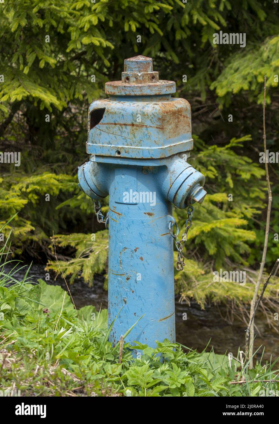 An old blue metal rusty fire hydrant near the forest. Close up. Detail ...